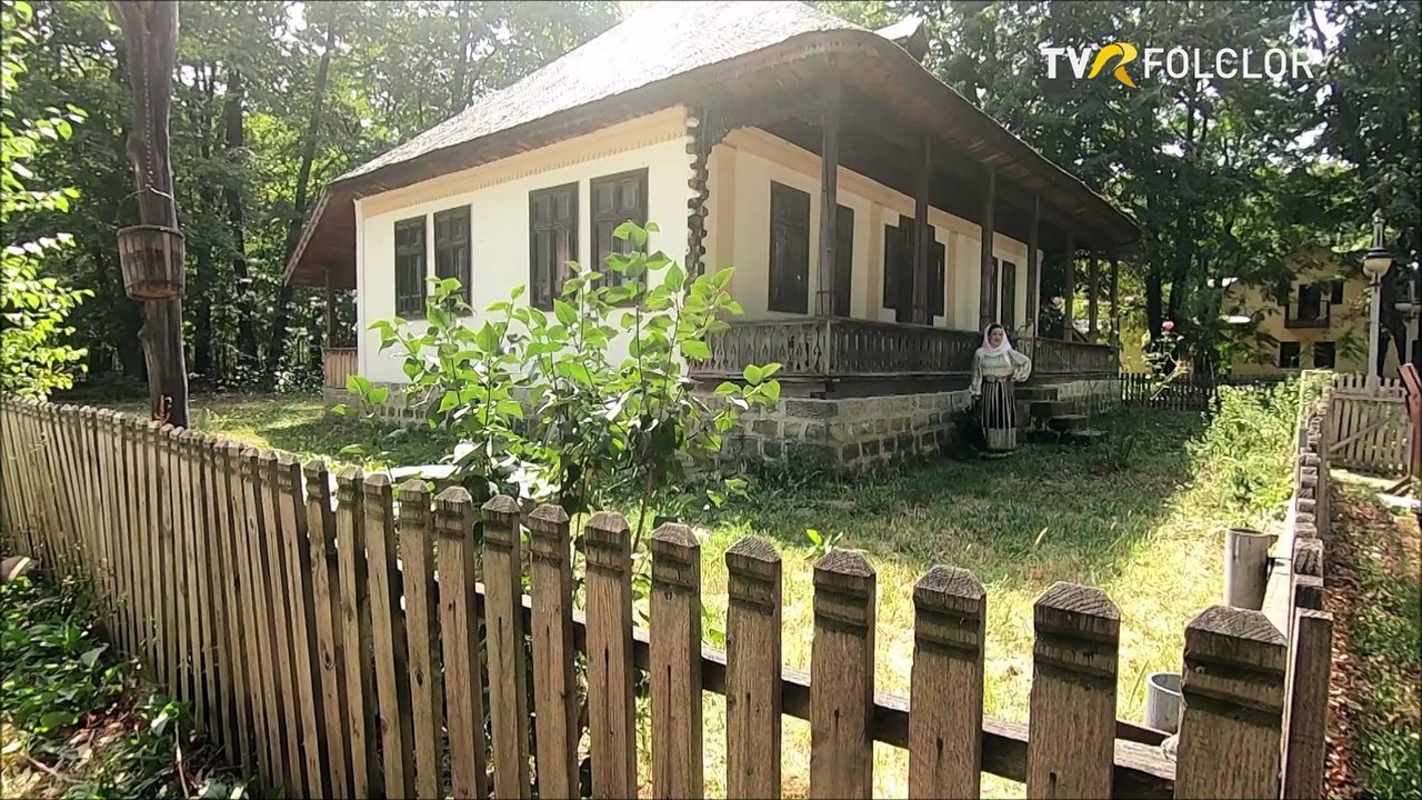 Floarea Calota - Constantine, Constantine (arhiva TVR) - video Dailymotion