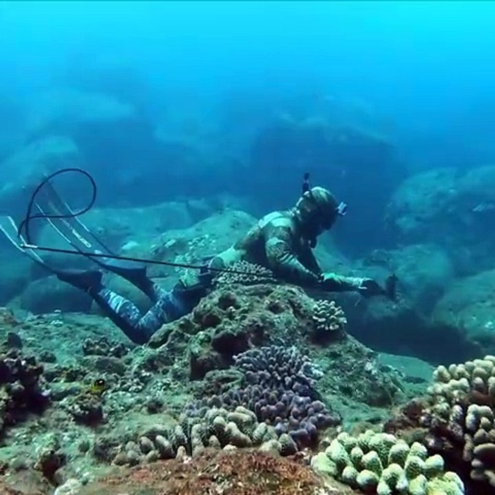 Professional Hand Spearfishing in Hawaii! - video Dailymotion