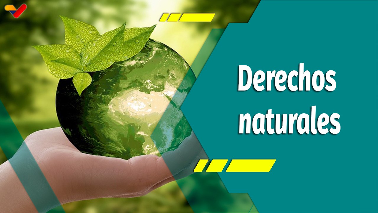 Punto Verde | Derechos naturales de la Madre Tierra - Vídeo Dailymotion