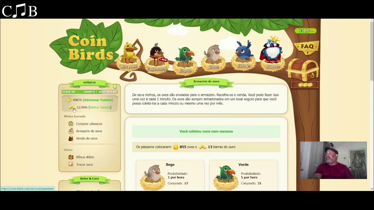 COIN BIRDS | VOCÊ PRECISA SABER - Vídeo Dailymotion