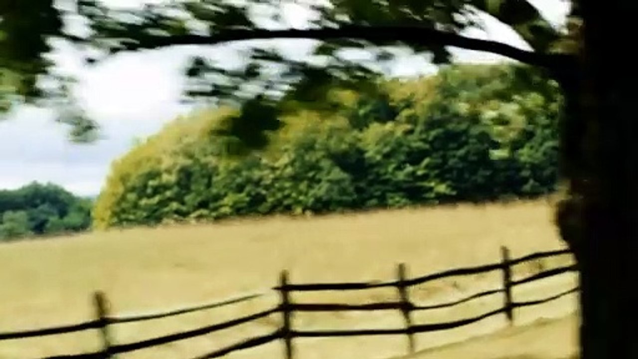 Model Hunger Bande-annonce (EN) - Vidéo Dailymotion