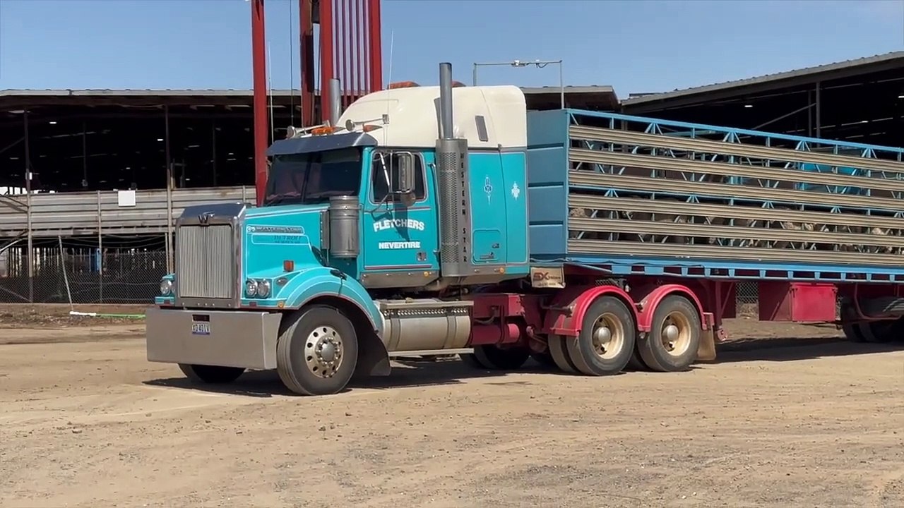 Sheep processor Roger Fletcher talks animal welfare | December 15, 2023 ...