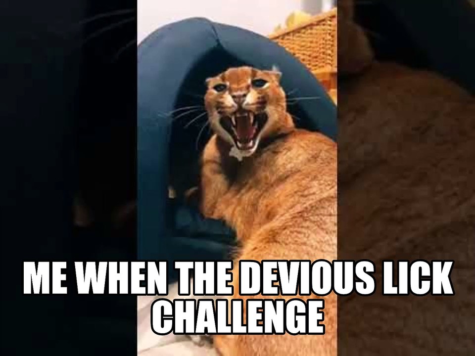 Me when the devious lick challenge - video Dailymotion