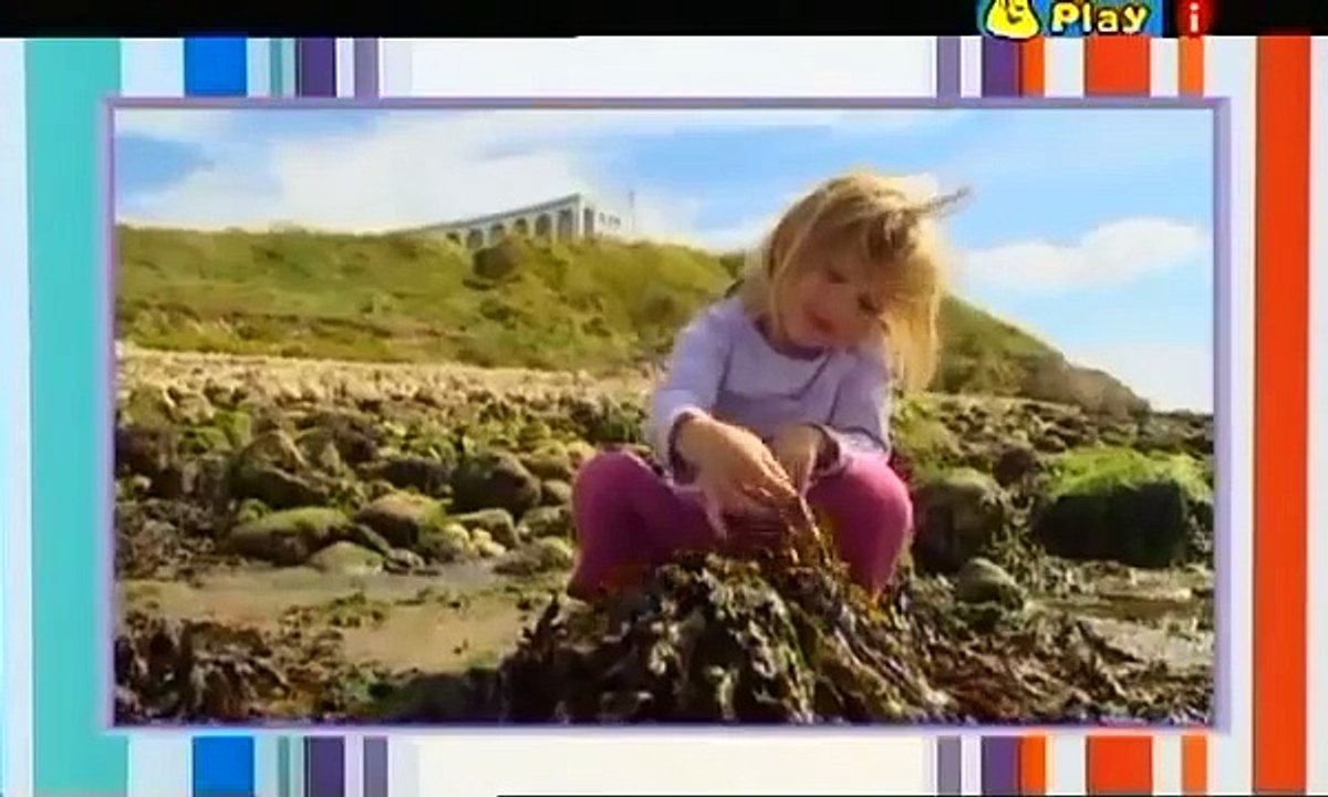 Something Special - Mr Tumble - Full Episode - Animal Doctor - Cbeebies ...