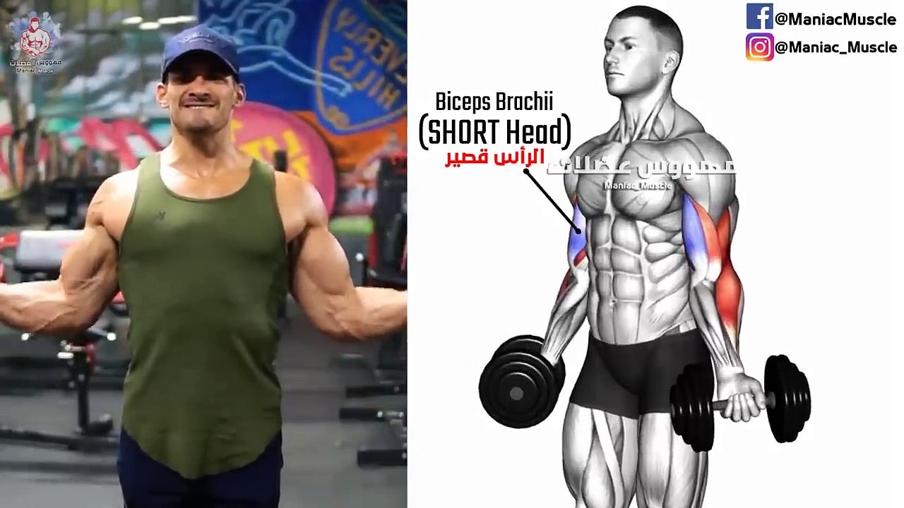 9 BEST BICEPS EXERCISES TO GET WIDE ARMS WORKOUT ! - video Dailymotion