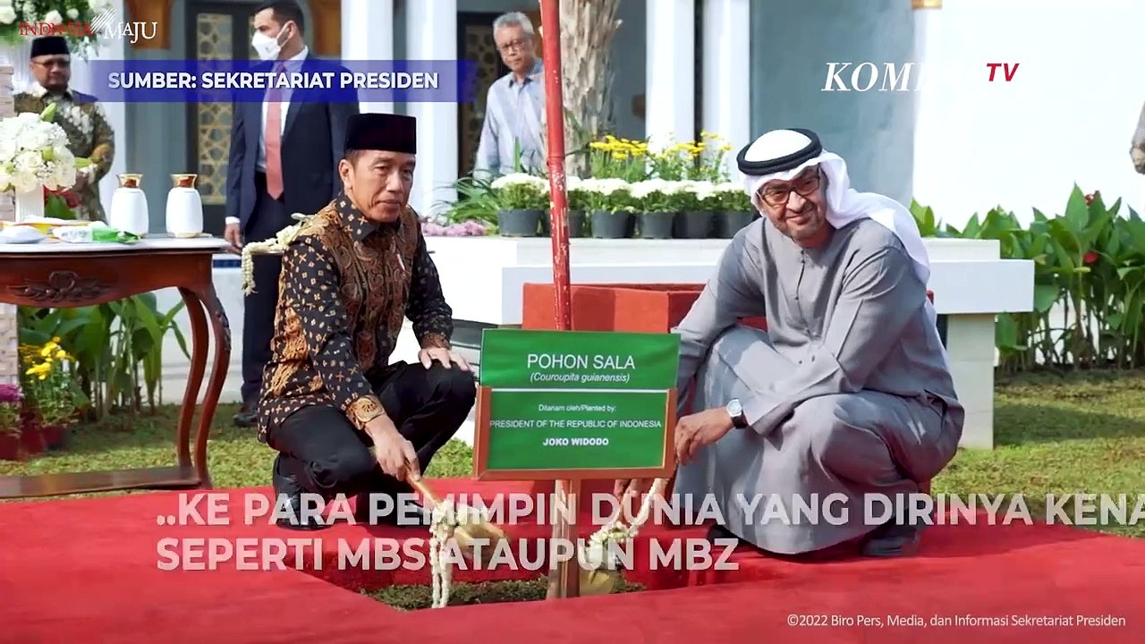 Luhut Ungkap Jokowi Bakal Kenalkan Presiden Terpilih 2024 ke MBZ Hingga MBS - Video Dailymotion