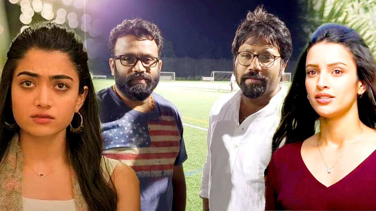 Pranay Reddy Vanga's Stand Over Tripti Dimri Overshadowing Rashmika ...
