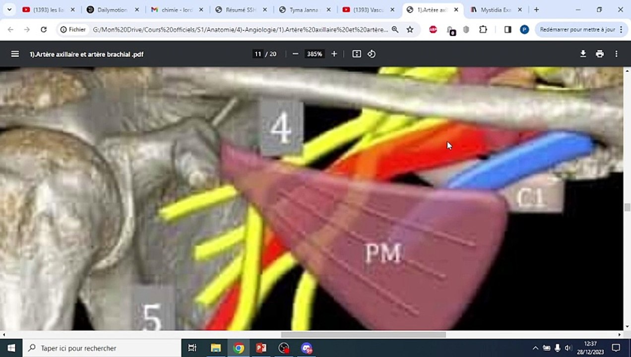 ARTERES AXILLAIRE ET BRACHIAL PART 2 - Vidéo Dailymotion