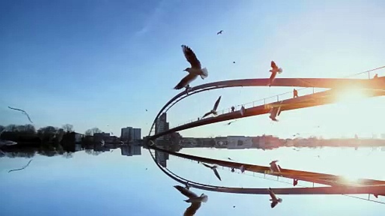 Peaceful video intro - Made with Clipchamp - video Dailymotion