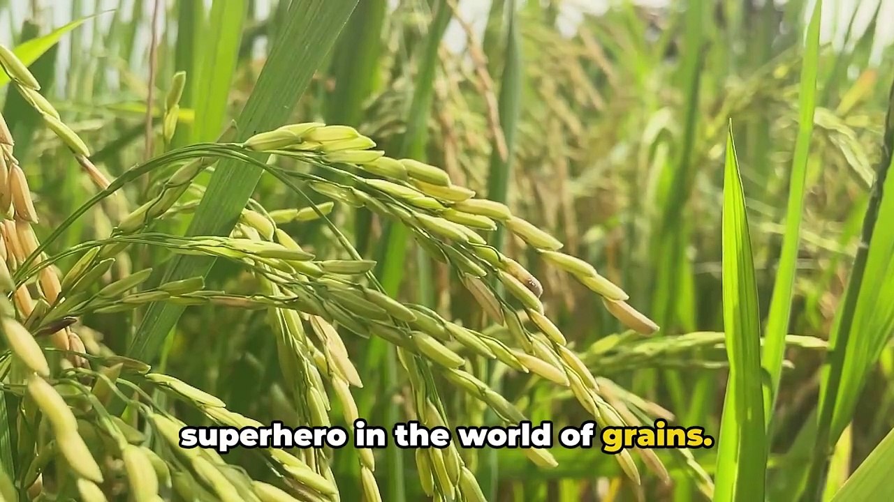 @ Rice Biotechnology_ Unveiling the Future - video Dailymotion