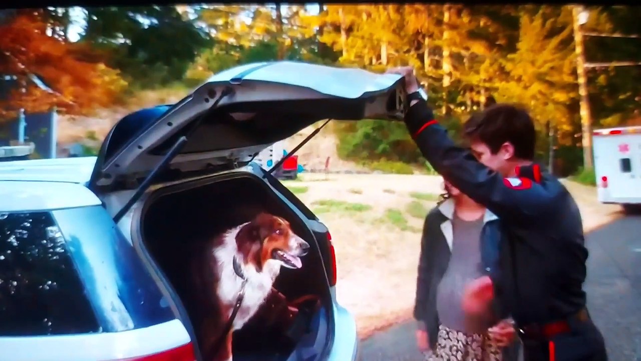 Rescued by Ruby (2022 Netflix Movie) - video Dailymotion