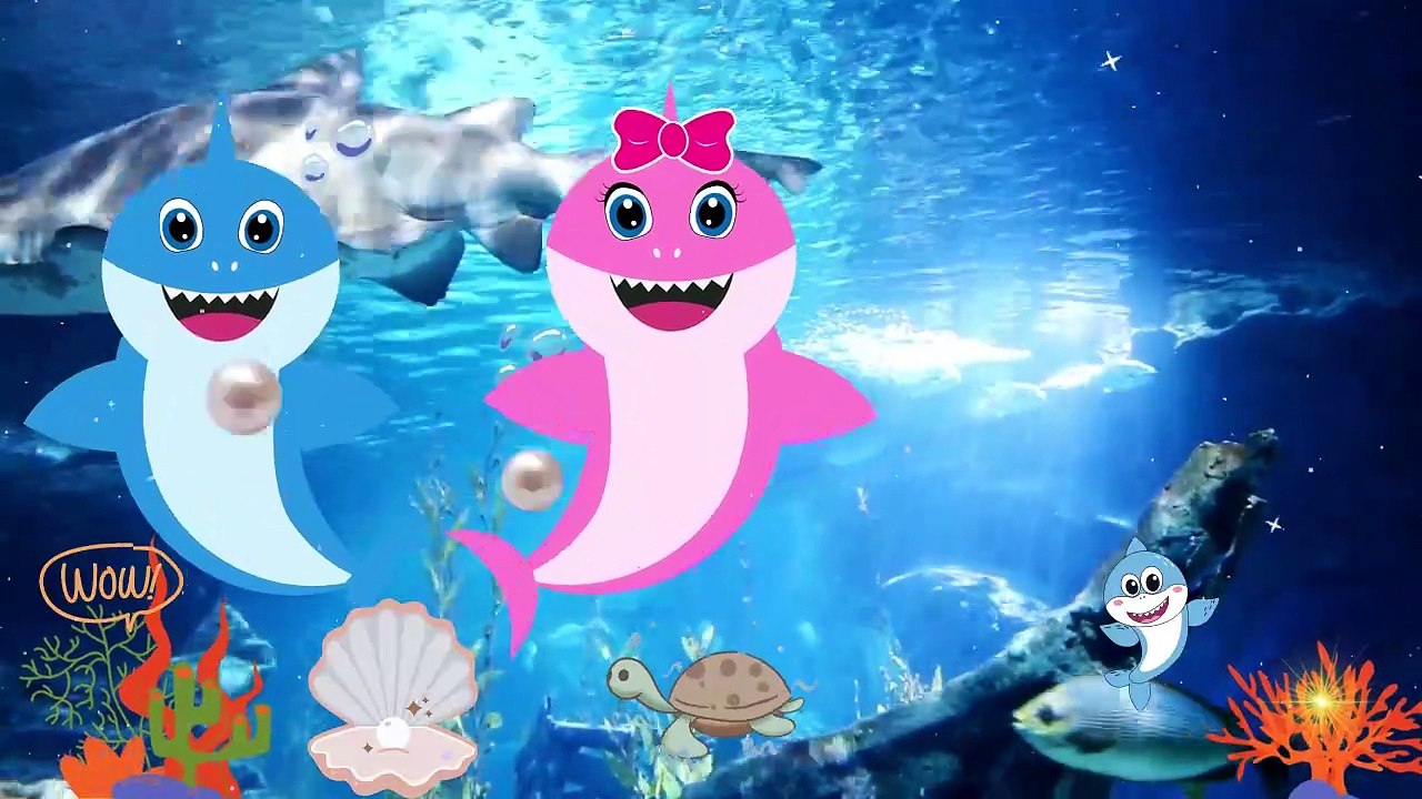 Baby Shark dance | #babyshark most fun video | Animal songs | Little ...