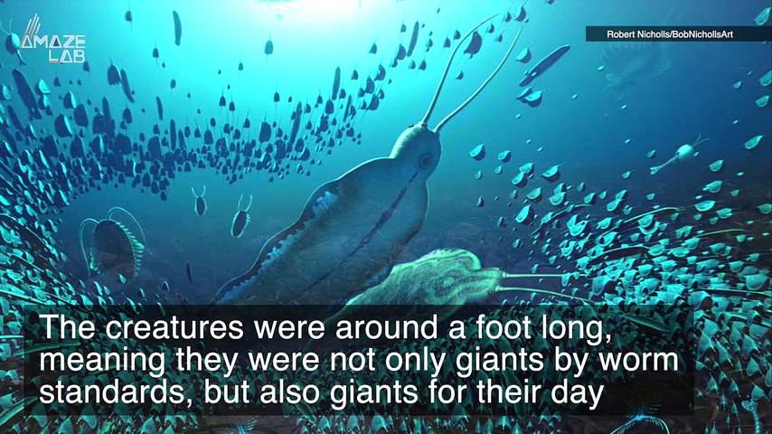 This ‘Terror Beast’ Was a Giant Worm That Ruled the Oceans Before ...