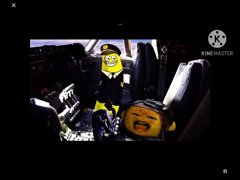 Fruit plane crash Madagascar plane crash Ytp - video Dailymotion