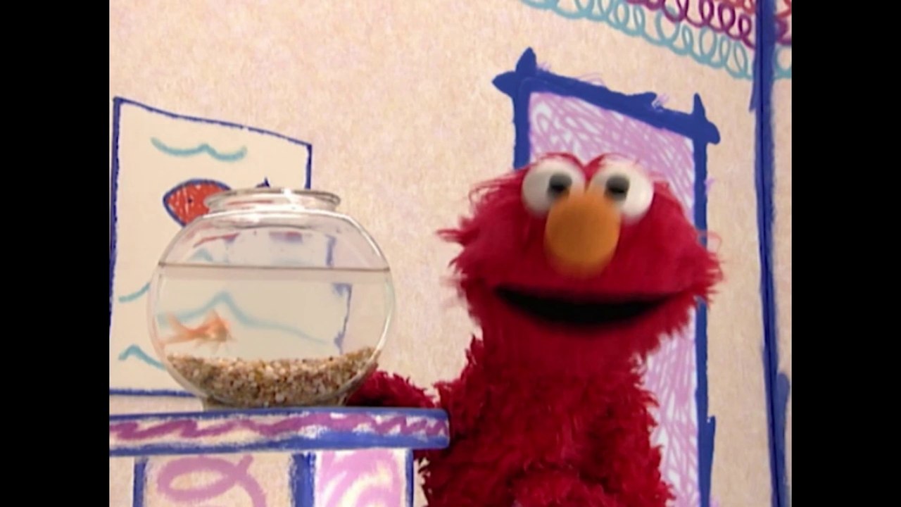 Elmo & Tango Furry Friends Forever: Elmo's World Pets. - video Dailymotion