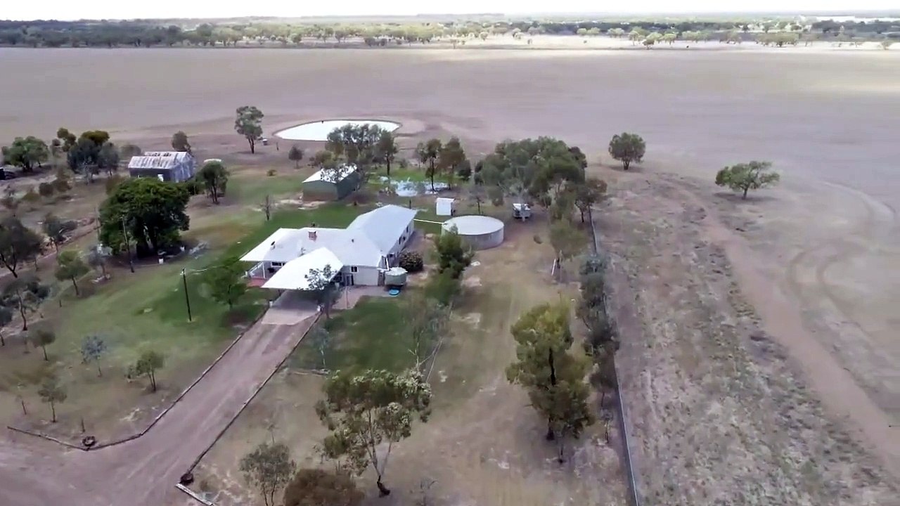 Rivervale, Walgett NSW | January 15, 2024 | Farmonline - video Dailymotion