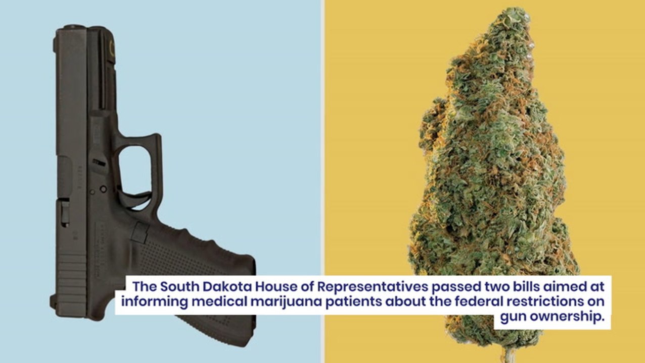 Guns And Weed: South Dakota House Passes Bill Forcing Cannabis Shops To ...
