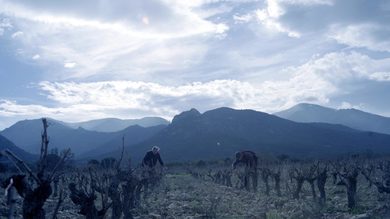 Wine Calling : le vin se lève ! - Vidéo Dailymotion