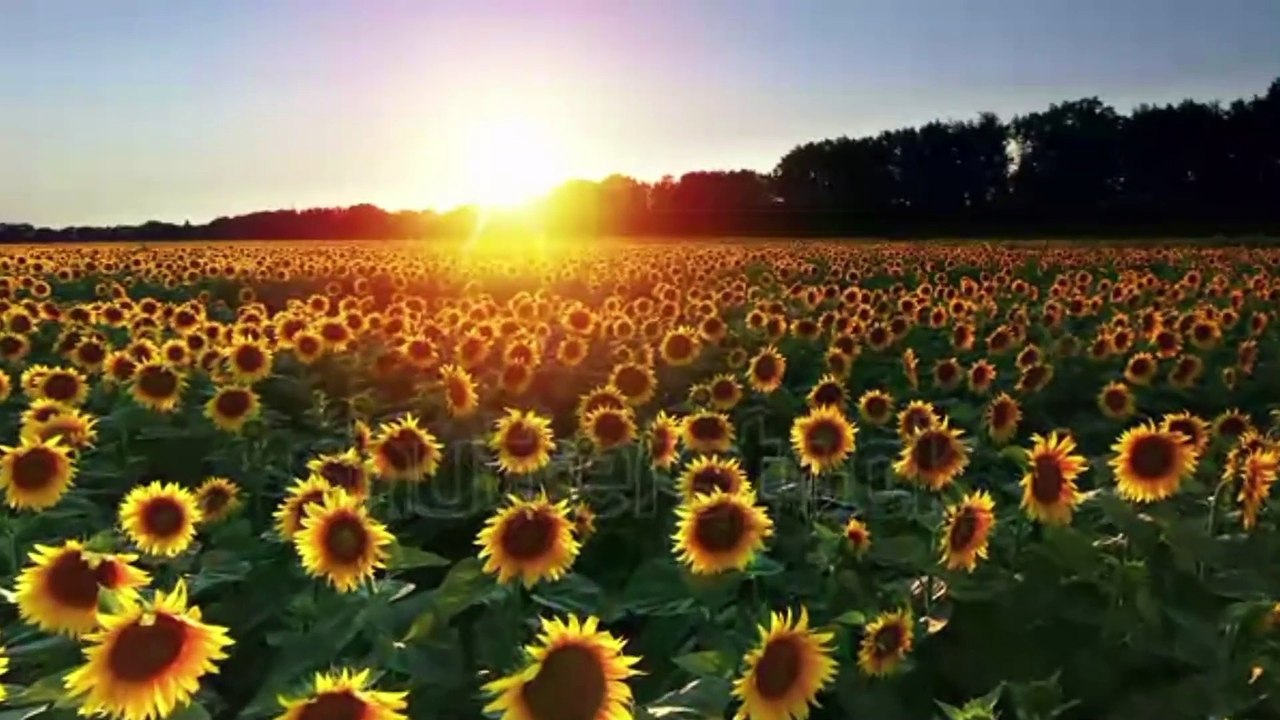 Aa kahin dour chalien jaien hum - video Dailymotion