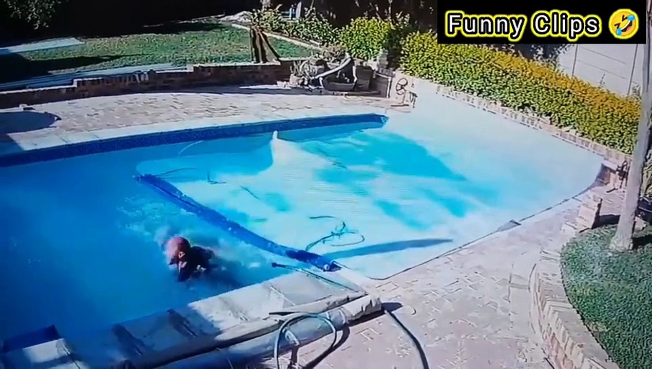 Funny CCTV Fails of 2024 Try Not to Laugh - video Dailymotion