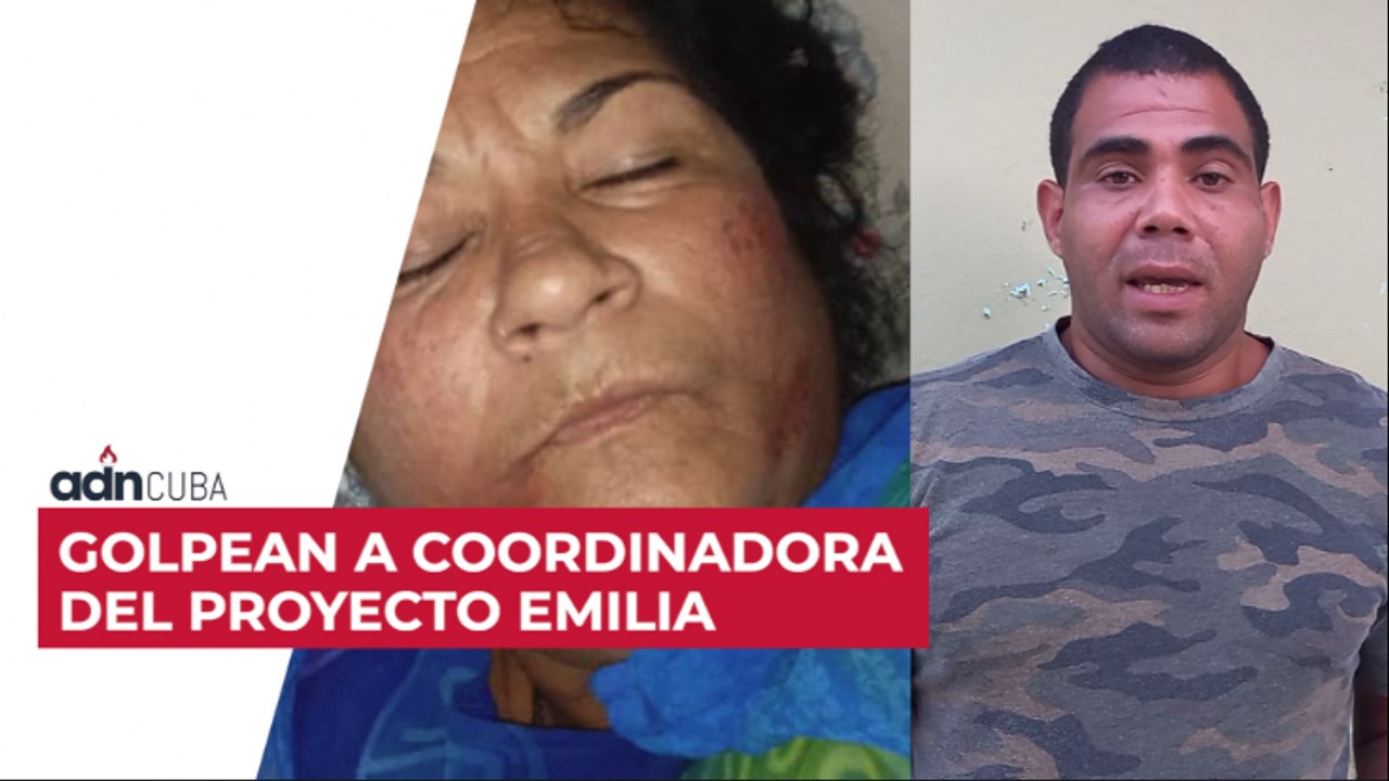 Golpean a coordinadora del proyecto Emilia - video Dailymotion