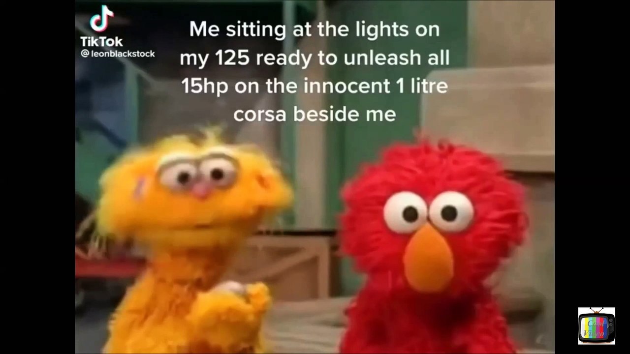 Elmo Looking At The Camera Meme Compilation - video Dailymotion