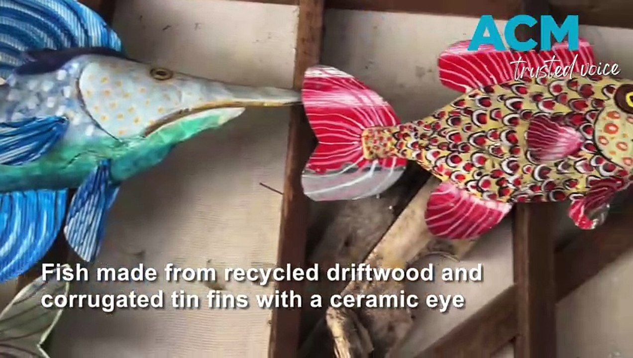 Eden artist Bill Insch's driftwood artworks are a bit fishy - video Dailymotion