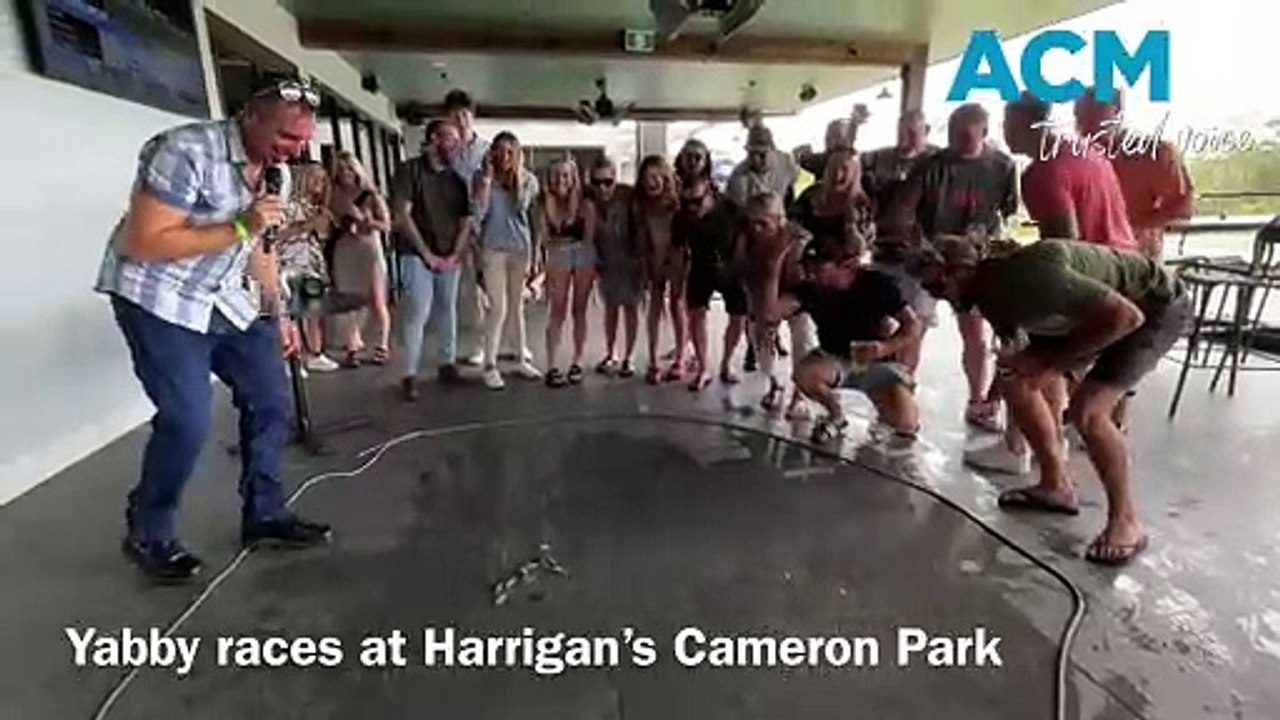 Australia Day yabby races at Harrigan's Cameron Park - video Dailymotion