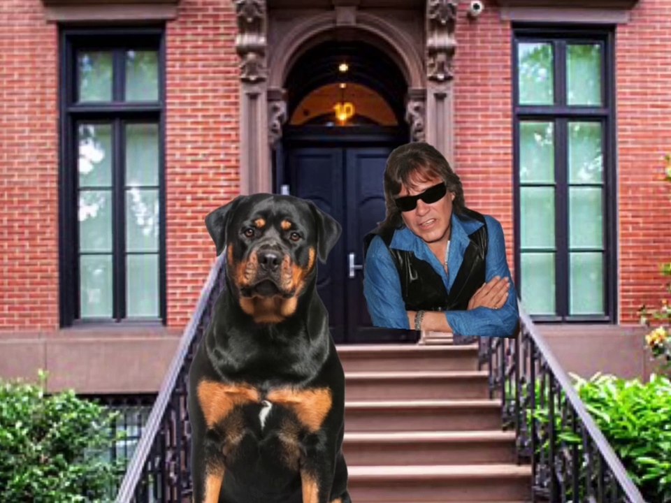 Jim Henson Dogs Xexuson - Real Life Dog Segment - Meet Murray The Dog ...