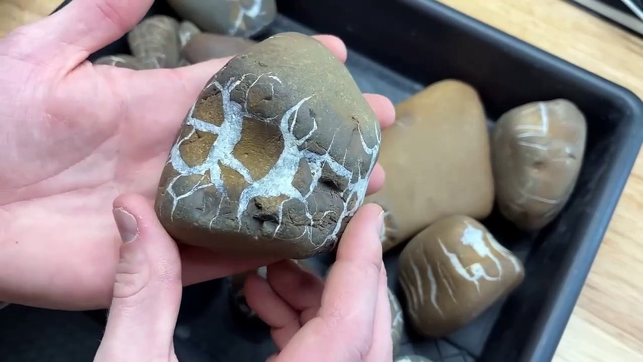 Cutting LIGHTNING STONES open w_ lapidary saw! - video Dailymotion