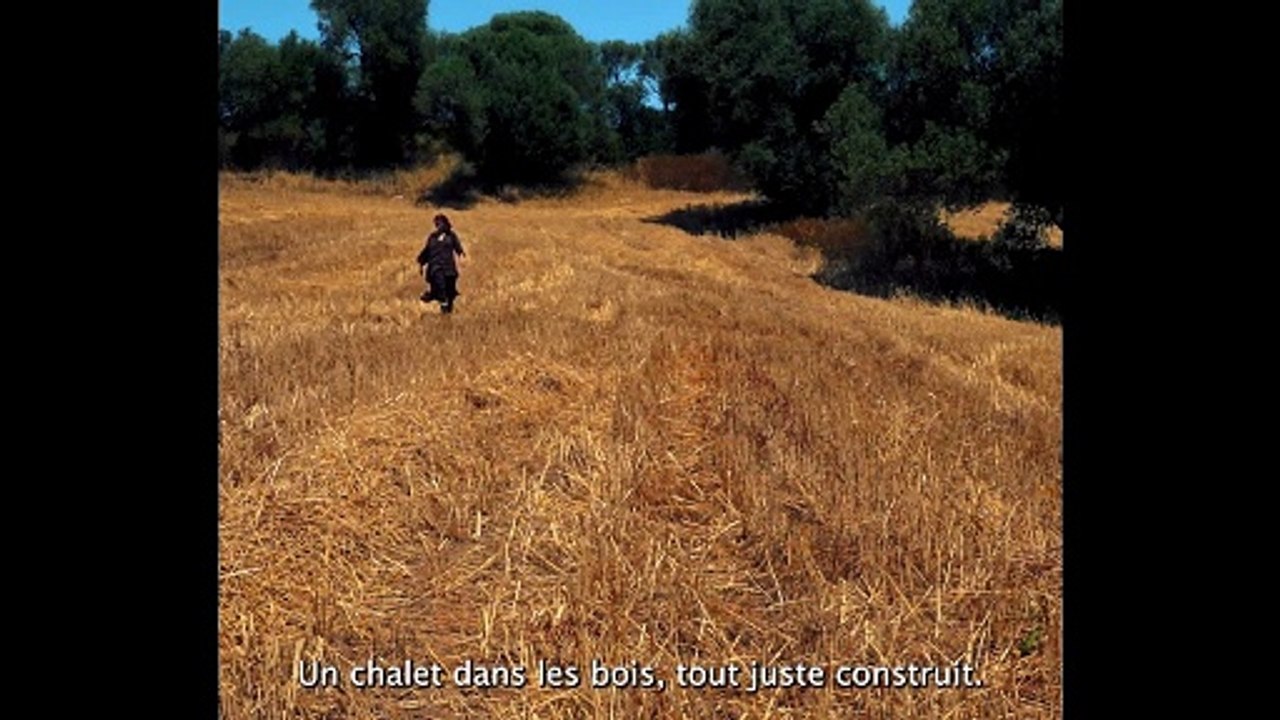 The Mercy Tree (2024) - Bande annonce - Vidéo Dailymotion