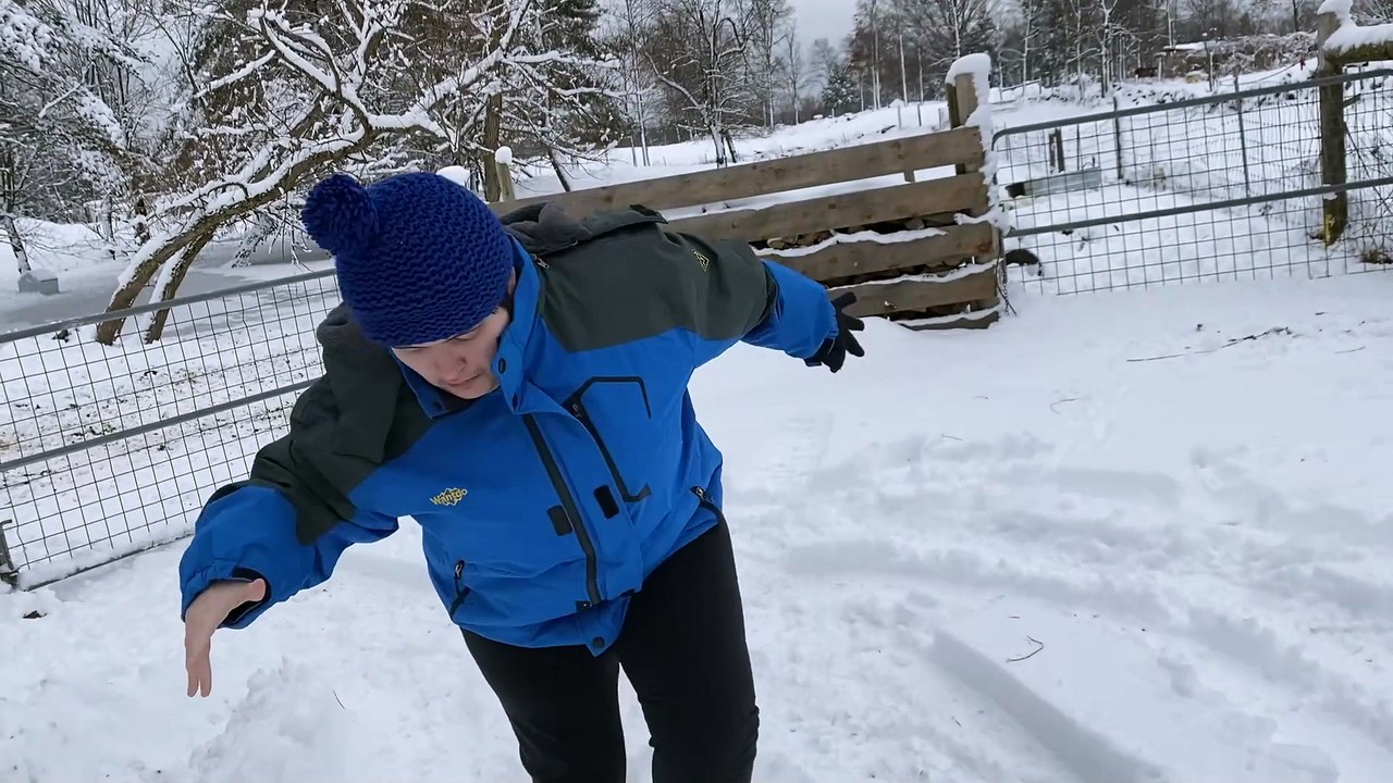 Sesame Street - This is Junie The Dog Snow Winter Ball Finale - video ...