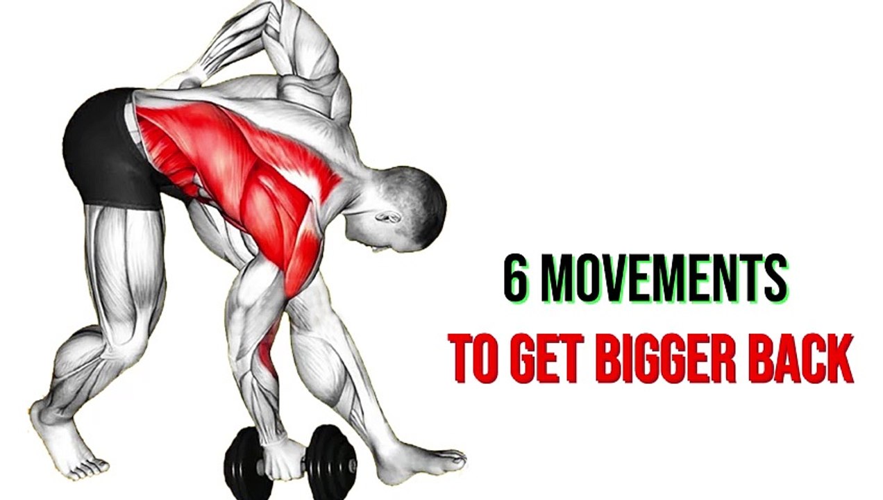 6 Movements To Build A Bigger Back | Back Workout - video Dailymotion