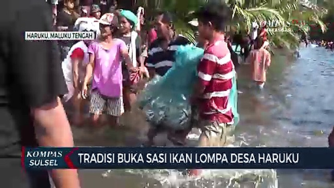 Tradisi Buka Sasi Ikan Lompa Desa Haruku - Video Dailymotion