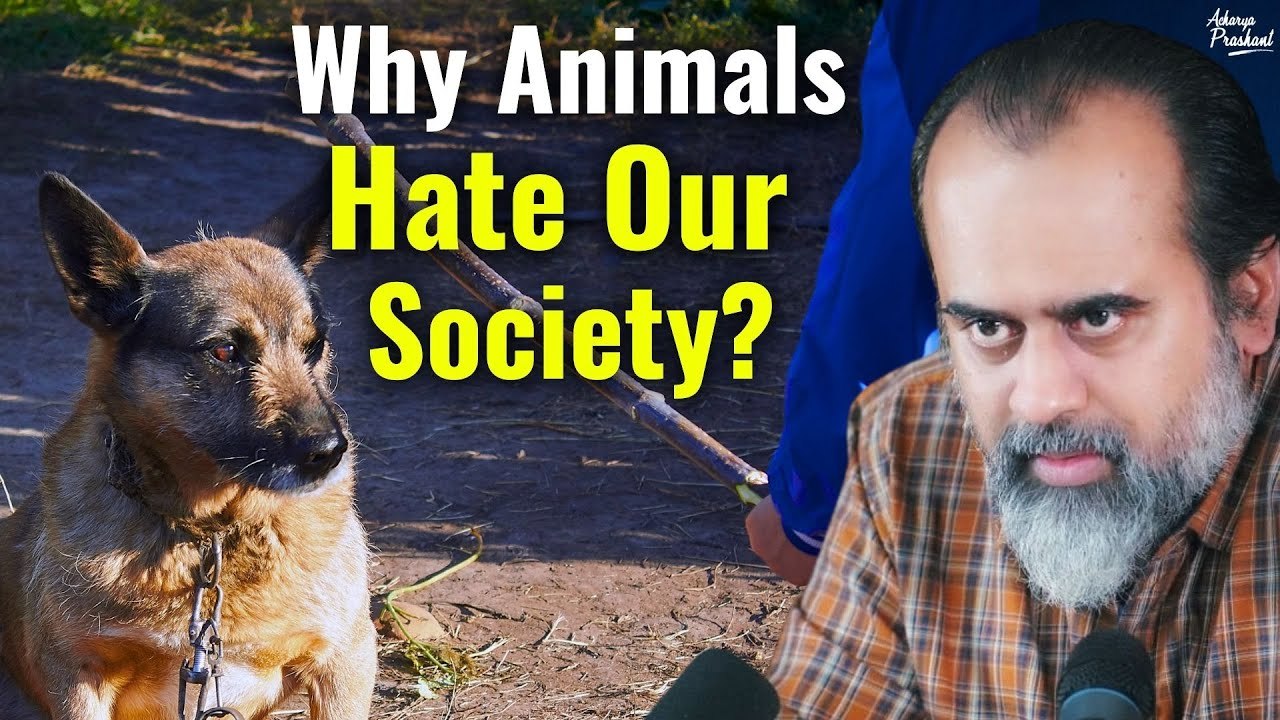 Why Animals Hate Our Society? || Acharya Prashant (2019) - video ...