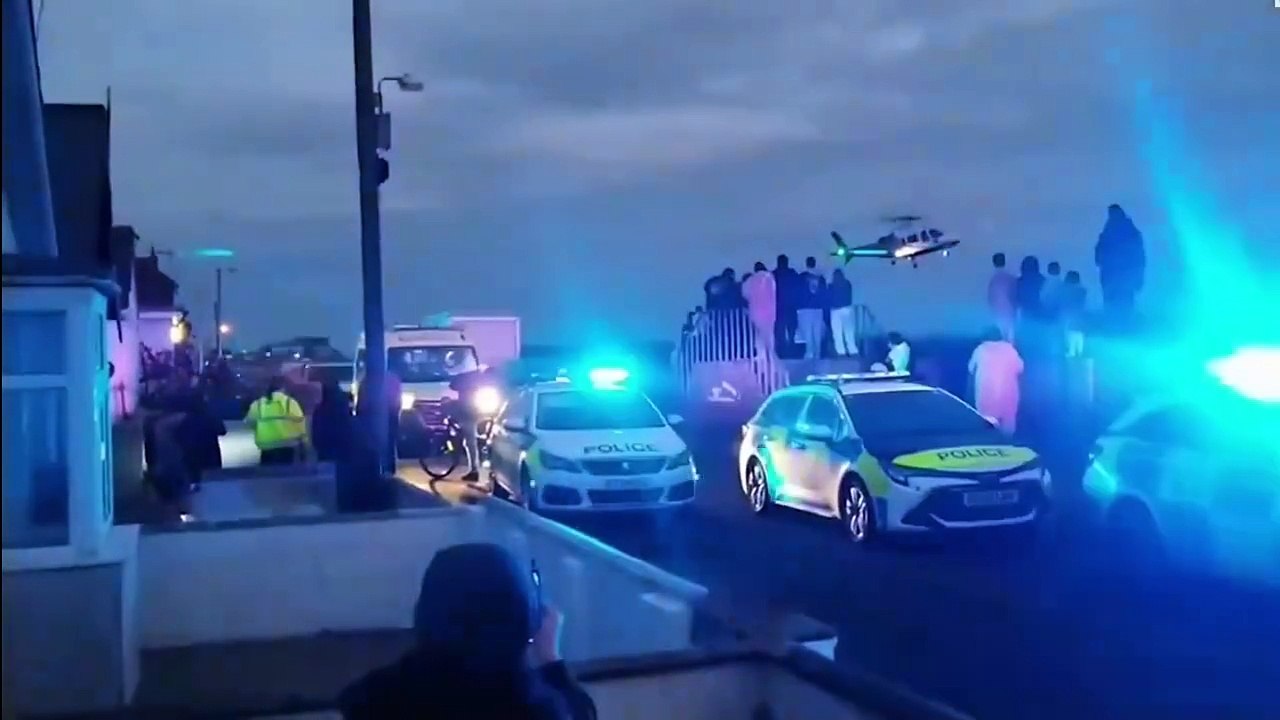 XL Bully Attack: Rapper Ashley Warren arrested after woman killed by ...