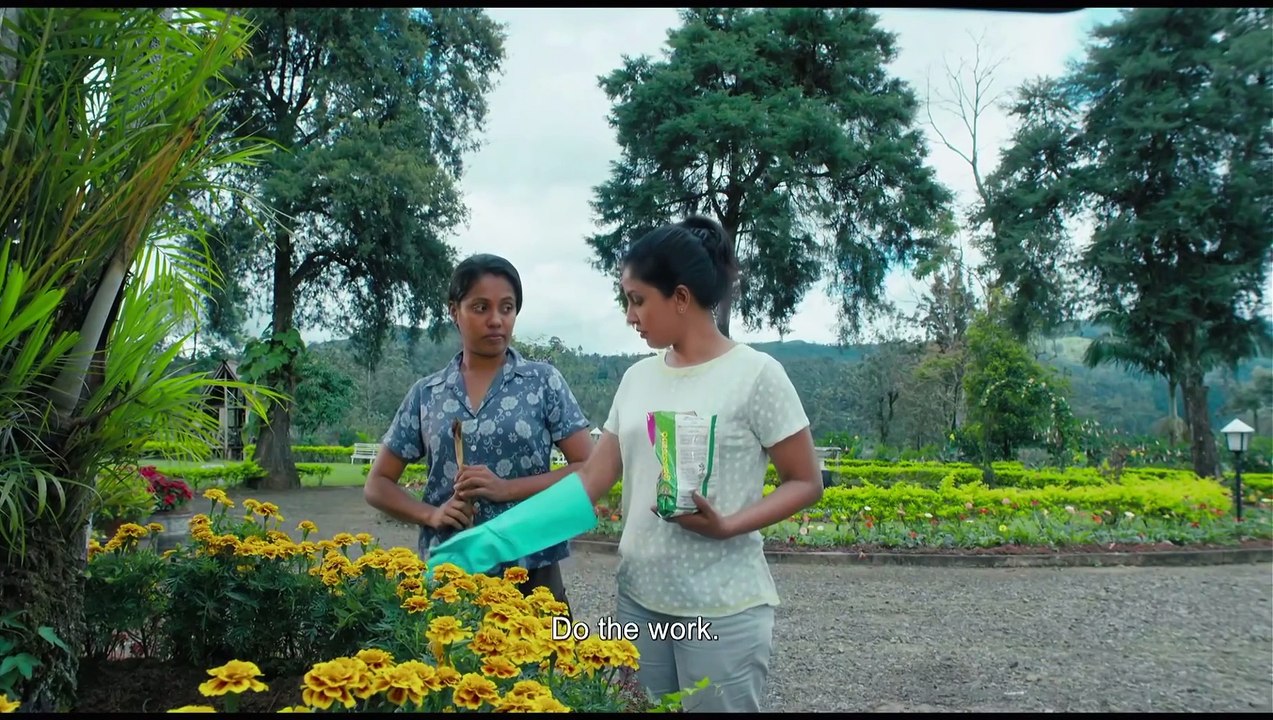 Jangi Hora 2021 - video Dailymotion