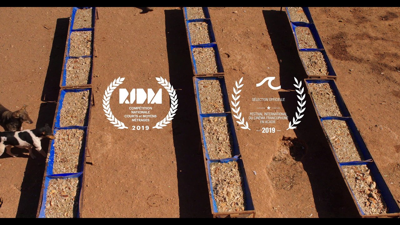 Mutts | movie | 2019 | Official Trailer - video Dailymotion