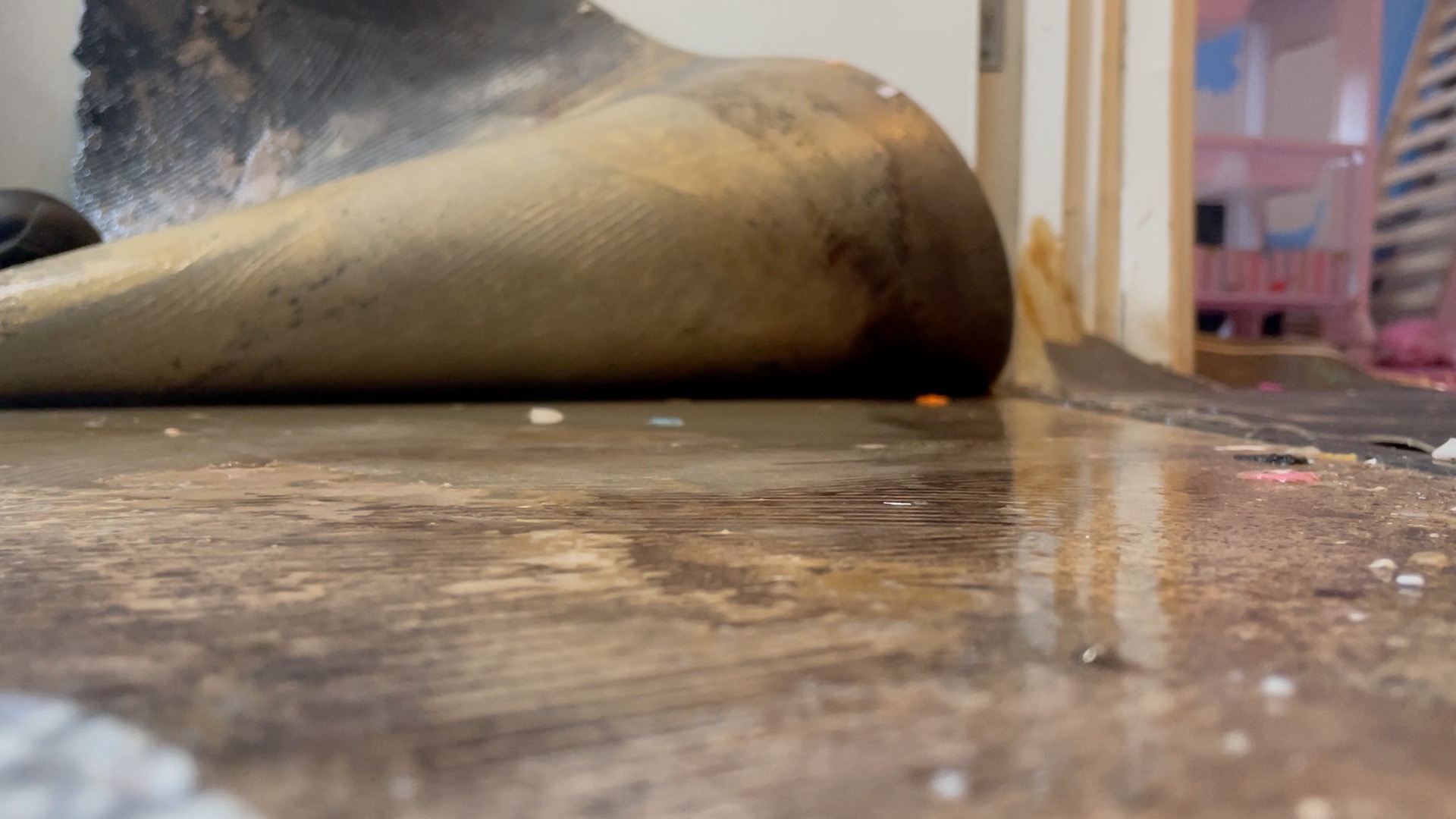 Extreme mould leaves Sheerness family feeling ill