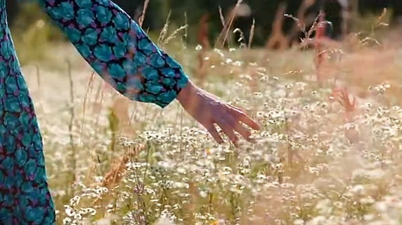 sample video. - Video Dailymotion