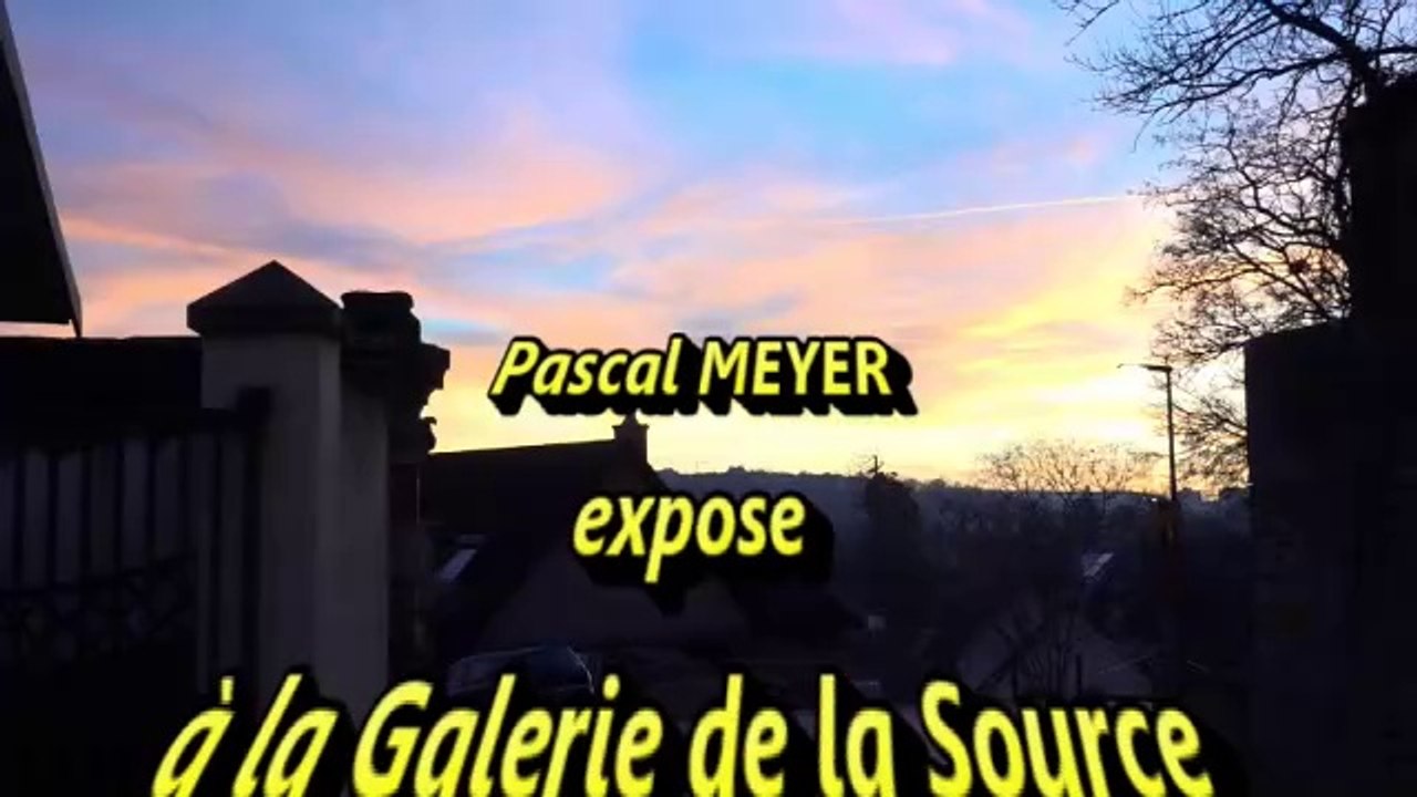 Pascal MEYER expose à la GALERIE LA SOURCE FONTAINE LES DIJON du 3 au 25 février 2024 - Vidéo ...