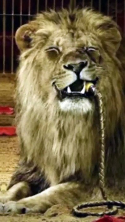 Islamic stort video #short #viralvideo #shortvideo - video Dailymotion