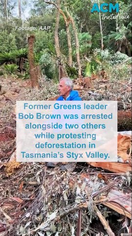 Former Greens leader Bob Brown arrested during deforestation protest in ...