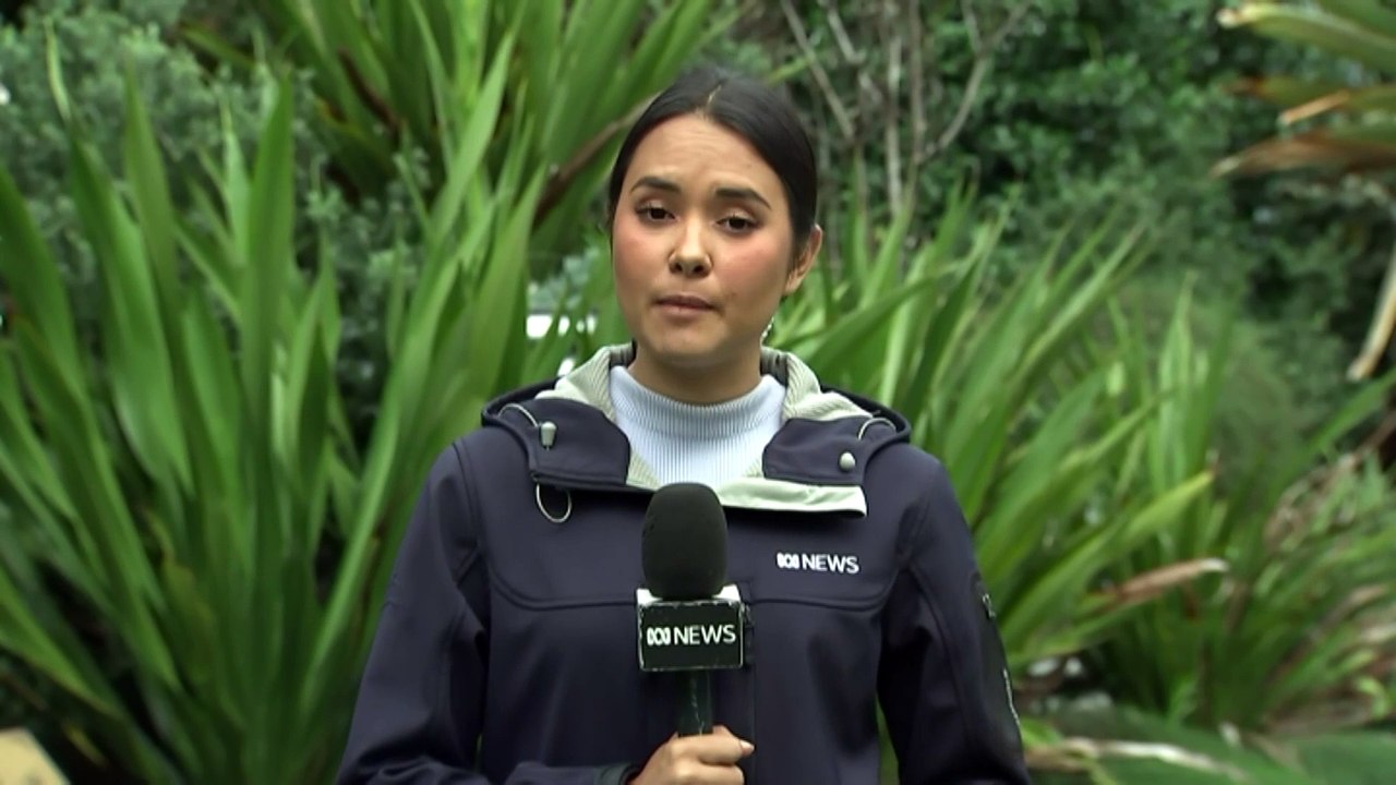 Clean up begins after severe storm sweeps through Sydney - video Dailymotion