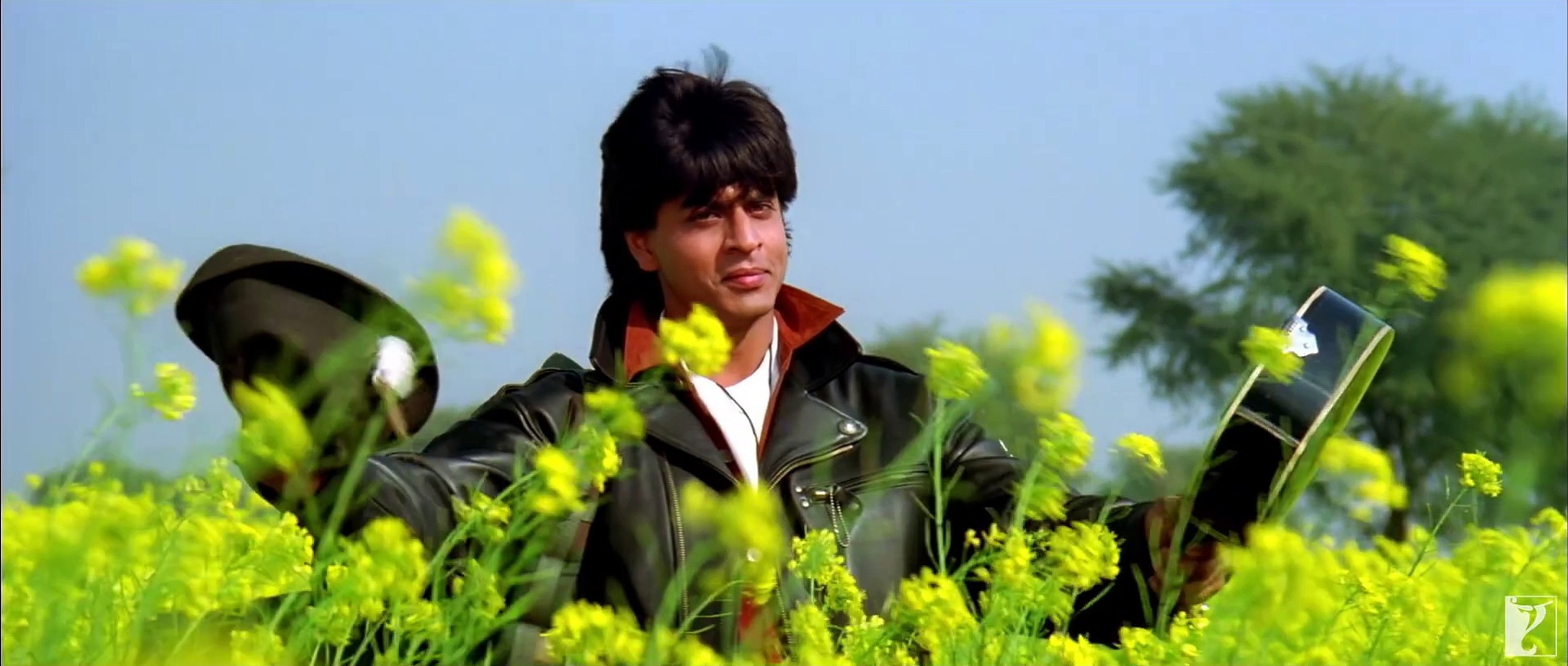 Dilwale Dulhania Le Jayenge New Trailershahrukh Khan New DDJL Trailer