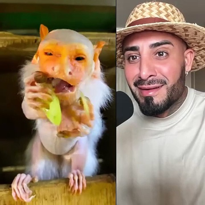 Bartmann tiktok reactions - video Dailymotion