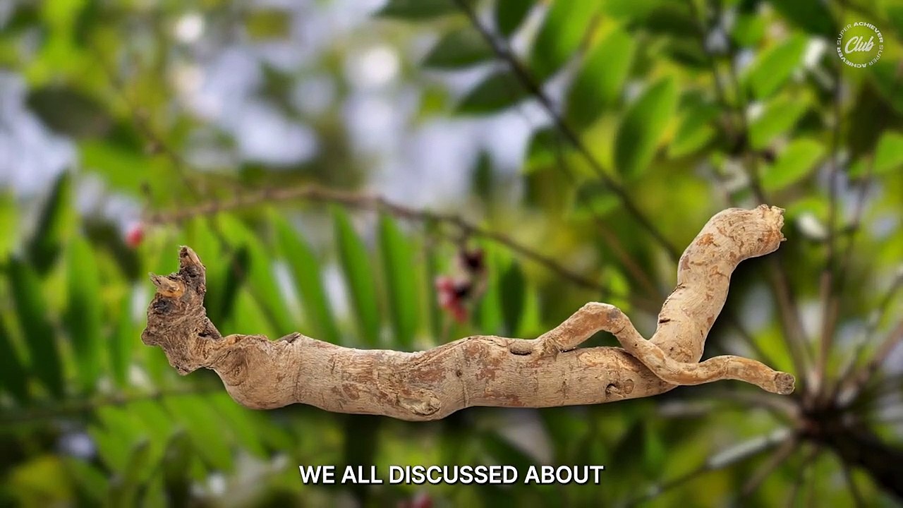 Is Tongkat Ali Safe? Revealing the Shocking Side Effects of Eurycoma ...