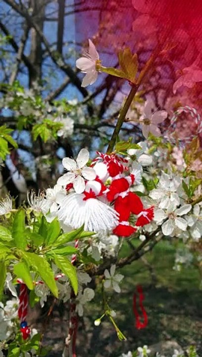 Baba Marta / Martenitsa - video Dailymotion