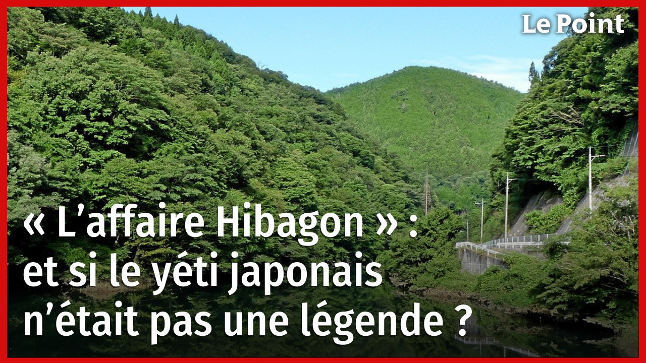 « L’affaire Hibagon » : et si le yéti japonais n’était pas une légende ...