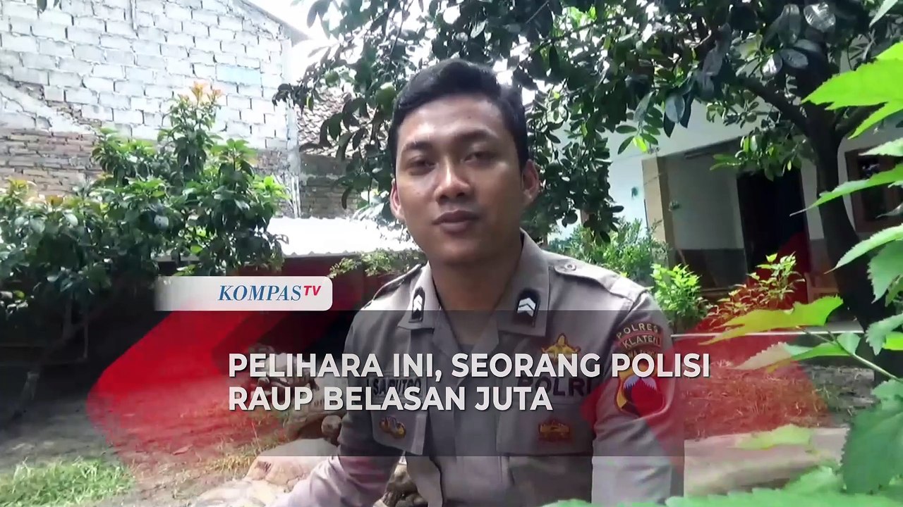 Seorang Polisi di Klaten Bisa Dapat Jutaan dari Sambilan Ini - Video ...